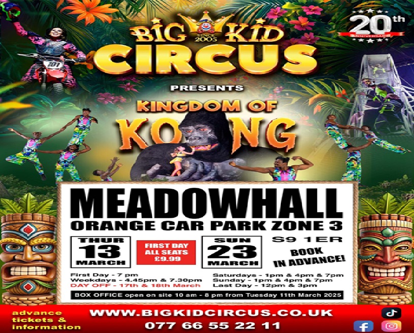 Big Kid Circus – Where Childhood Meets the High Wire - AKG Entertainment